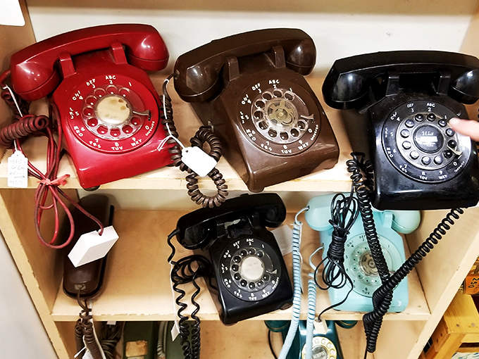 Rotary phones in technicolor glory! Each one a reminder of when "hanging up" was a physical act requiring actual muscle.
