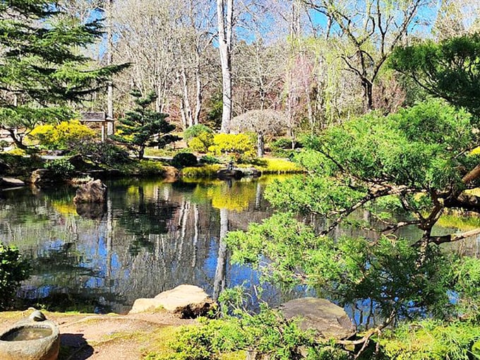 Spring's gentle awakening captured in one perfect scene: fresh greens, tranquil waters, and strategically placed rocks creating natural harmony.