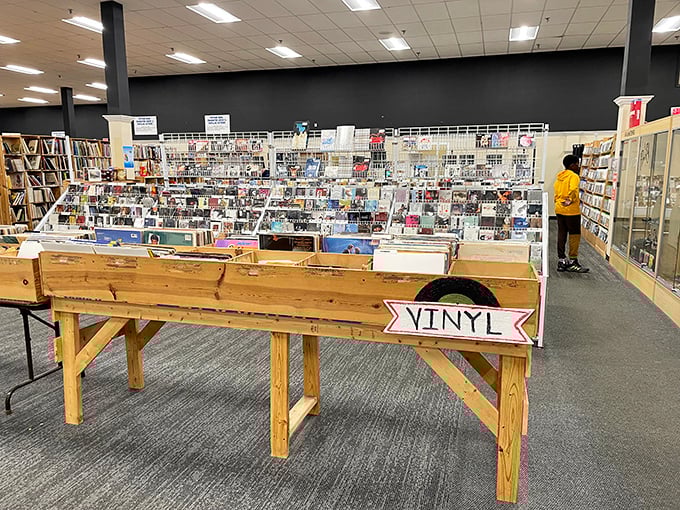 Vinyl isn't just making a comeback; it never left at McKay's. Crate-diggers' paradise where album art gets the respect it deserves.