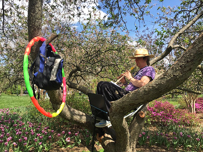 Finding your own branch office&mdash;this visitor has discovered the perfect spot to enjoy Sherwood's splendor with a side of people-watching.