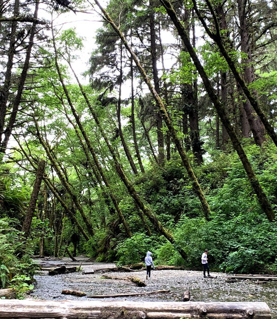 14000 acre park california ftr