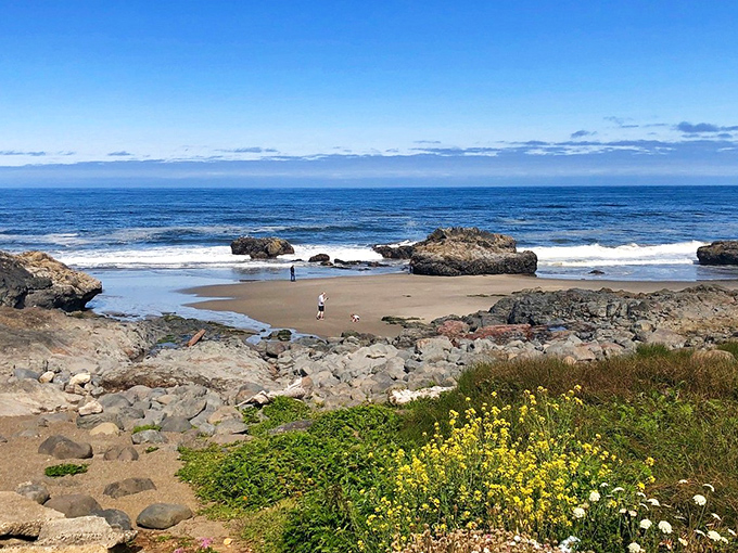 This pocket beach nestled among volcanic rocks creates nature's perfect playground&mdash;where dogs, humans and shorebirds temporarily form the world's most contented community.