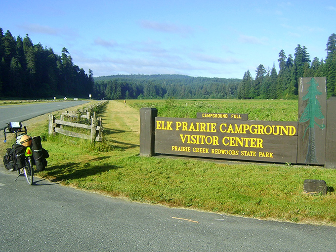 Elk Prairie Campground: where your neighbors might include a herd of 1,000-pound ungulates with impressive headgear.