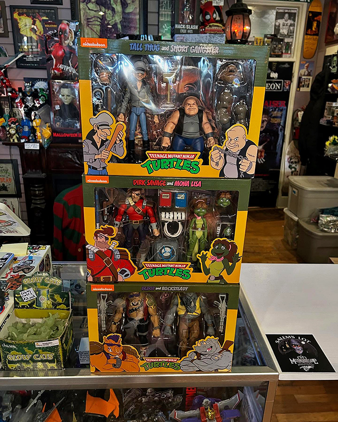 The Teenage Mutant Ninja Turtles and their allies stack up for display. These cartoon-styled figures capture the irreverent spirit that made the franchise a pop culture phenomenon.