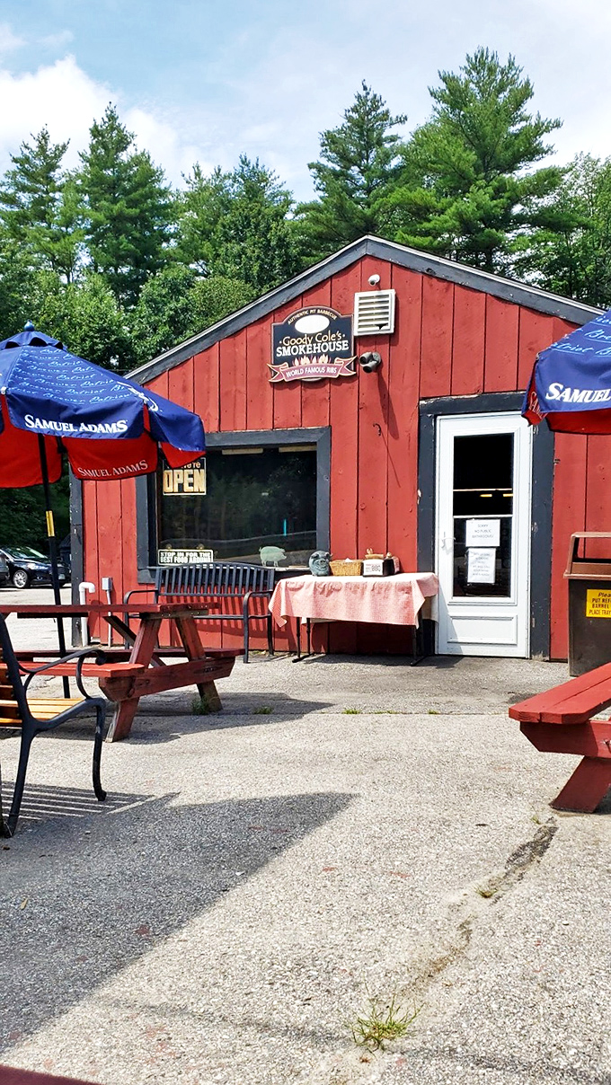 Summer in New England means Samuel Adams umbrellas shading picnic tables where BBQ dreams come true. The pine trees provide the backdrop.