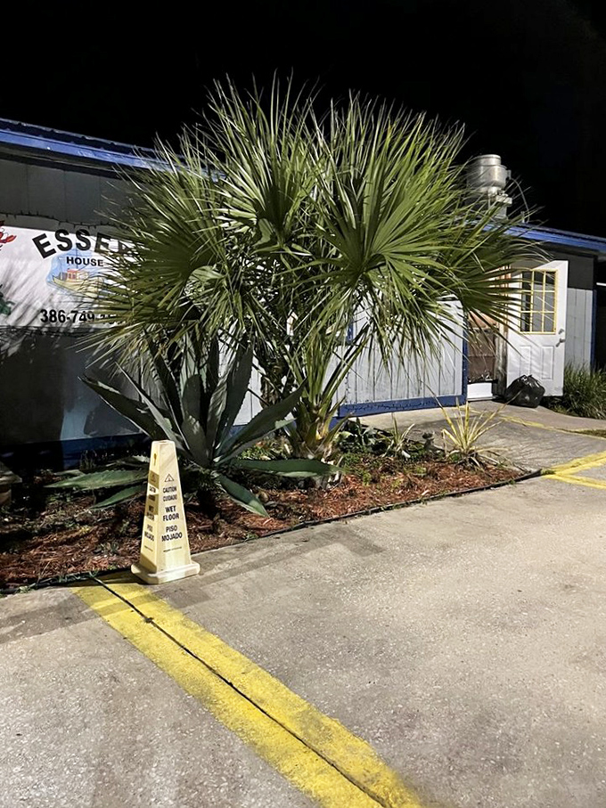 As night falls, the blue beacon of Essex Seafood House calls to hungry travelers. Even palm trees stand guard over this treasure trove of fried delights.
