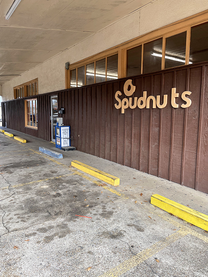Morning sunshine illuminates this unassuming donut sanctuary where locals have started their days for generations.