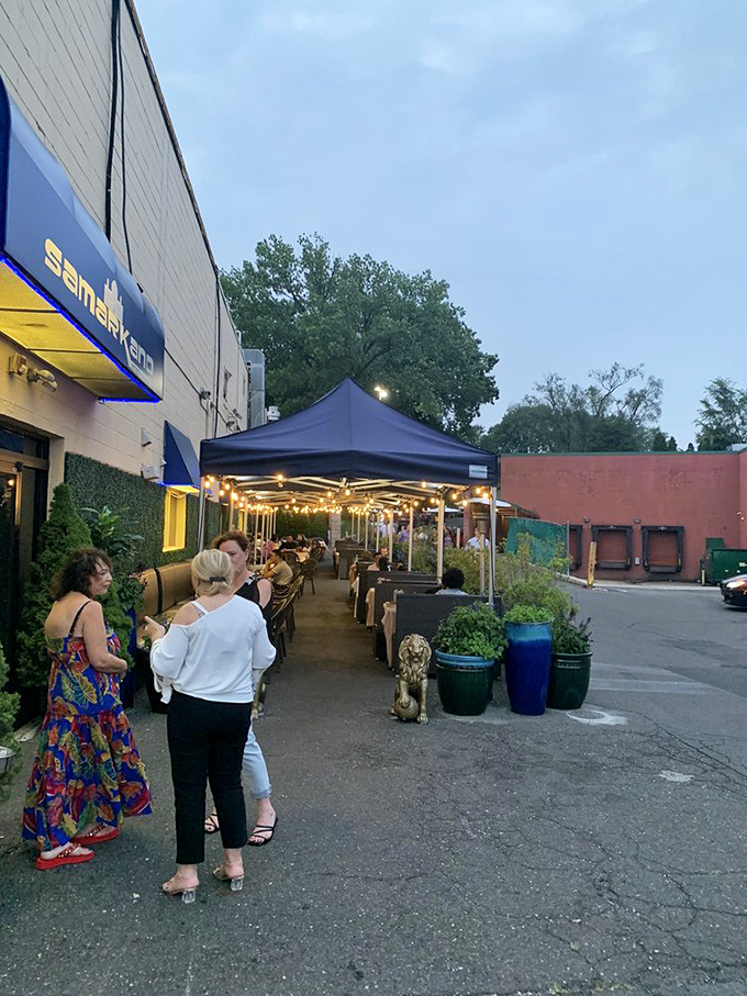 Summer evenings on Samarkand's patio feel like discovering a secret garden of gastronomy. String lights transform parking lot dining into an unexpected oasis.