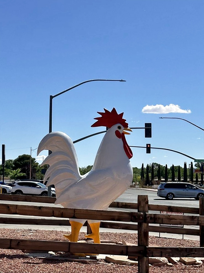 This majestic rooster statue isn't just decoration; he's the unofficial mayor of Flavor Town, presiding over Page's tastiest corner.