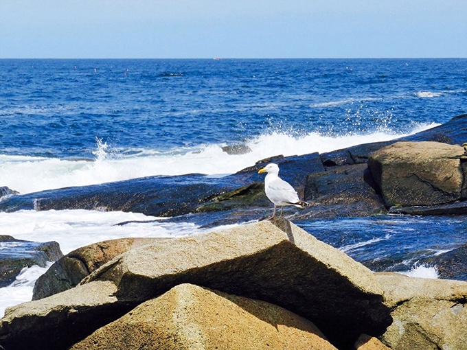 Rockport from above reveals the town's perfect peninsula positioning, surrounded by Atlantic blue that makes maps look like they've been Photoshopped.
