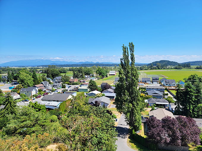 From above, La Conner reveals itself as a perfect puzzle piece nestled between farmland and water.