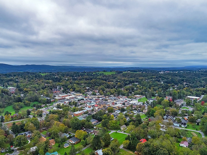 A street festival transforms downtown into the social center of the universe, where food vendors become temporary celebrities and everyone's a local. 
