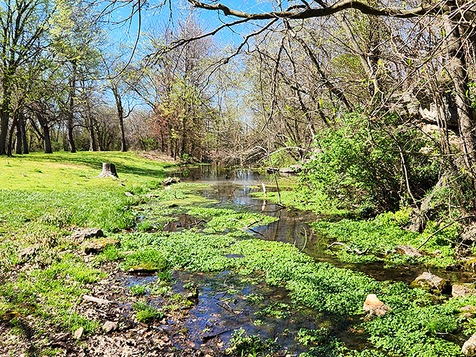 Battle of Carthage State Historic Site's tranquil stream belies its significant Civil War past. Peaceful waters now flow where history once raged.