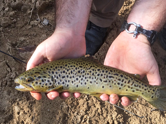 Fishing in the park's streams connects modern visitors to the survival skills pioneers needed&mdash;though we're just doing it for fun.
