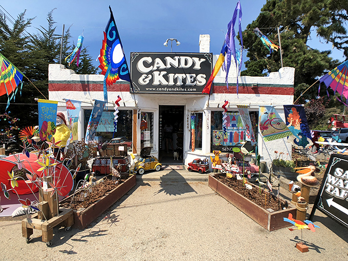 Candy & Kites&mdash;where childhood joy comes in two perfect forms: sugar rushes and things that fly, proving some combinations are simply unimprovable.