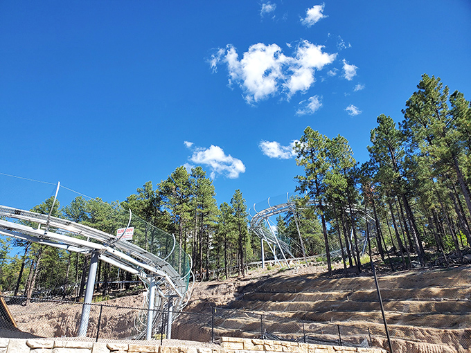 Canyon Coaster Adventure Park brings alpine thrills to Arizona mountains. Nothing says "vacation memories" like zooming through ponderosa pines with the wind in your hair.
