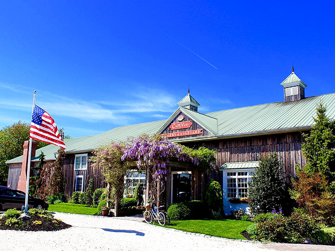 Cape May Winery wraps itself in wisteria and East Coast charm, proving you don't need Napa to have a vineyard worth writing home about.