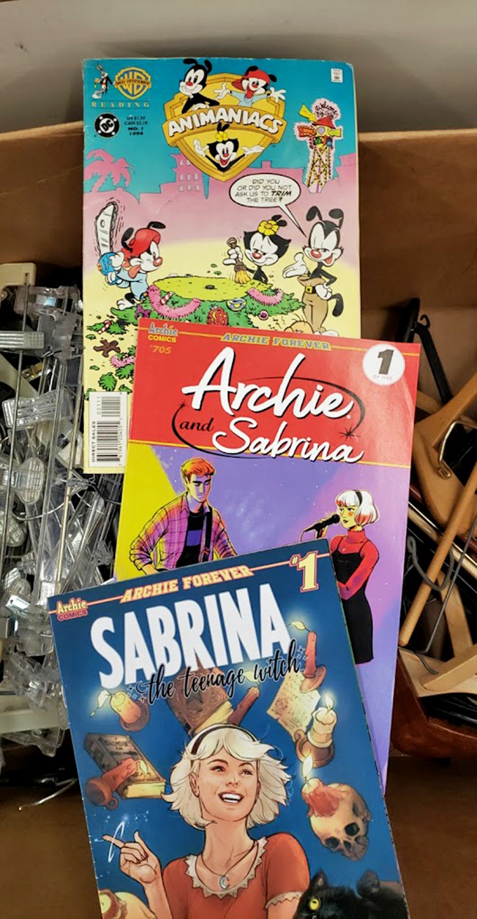 Vintage comics that transport you back to Saturday mornings with cereal. Animaniacs and Sabrina await a new reader to appreciate their nostalgic charm.