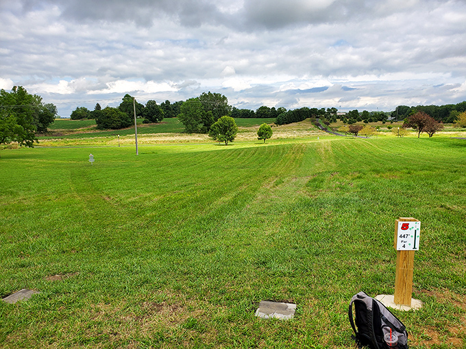 Commons Park's rolling green expanse invites picnics, games, and the simple pleasure of doing absolutely nothing on a perfect Indiana day.