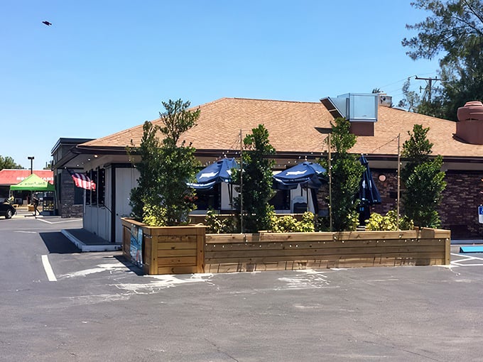 Jack's exterior: where Florida palm trees meet British sensibility. A culinary TARDIS that's bigger on the inside.