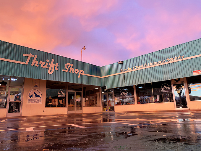 Even at sunset, this thrifting paradise glows with promise&mdash;like a retail version of "the golden hour" where every bargain looks even more beautiful.