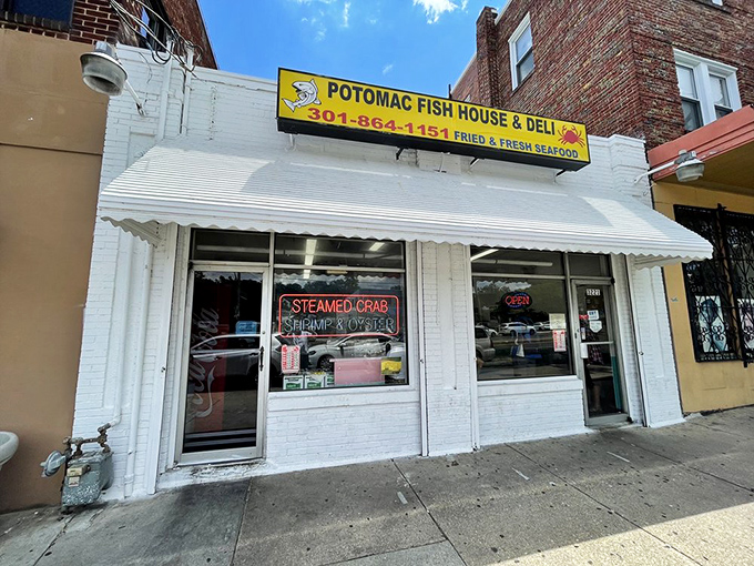 A humble storefront hiding culinary greatness. Like finding a pearl in an oyster, this unassuming exterior conceals delicious treasures within.