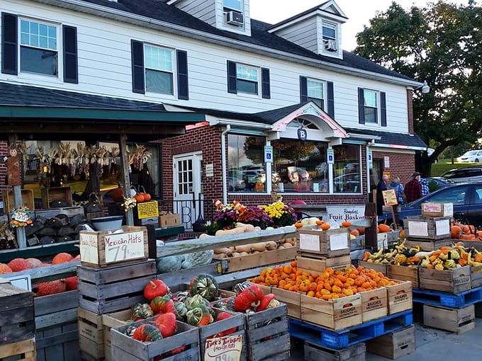 Fall at Baugher's means pumpkins and produce displayed like nature's artwork. This isn't shopping&mdash;it's a harvest celebration that happens to involve commerce.