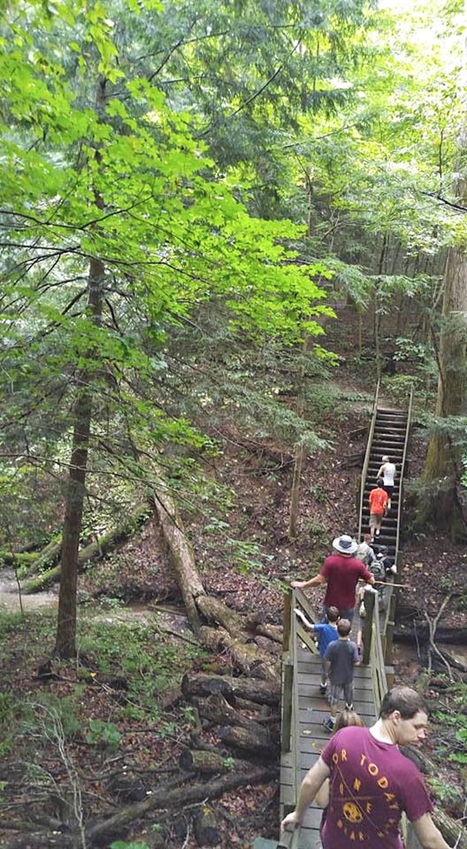 Follow the leader! Hikers navigate Shades' famous wooden staircases, each step a reminder that the best views come after the most challenging climbs.