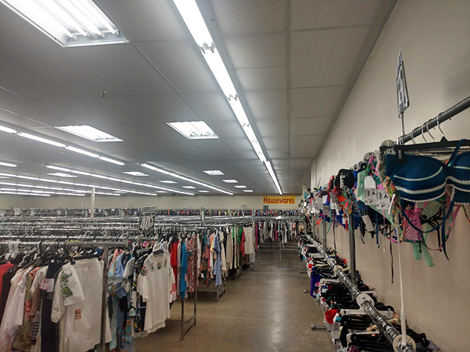 The vastness of the store reveals itself in this aisle view. Housewares, clothing, and endless possibilities stretch before you like a discount wonderland.