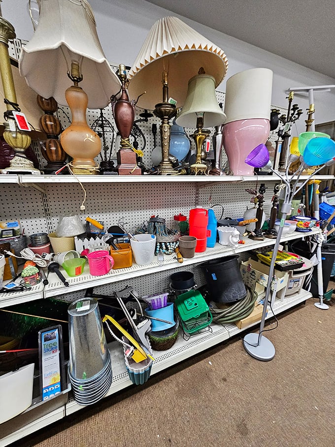 The lamp section glows with potential&mdash;from mid-century modern to Victorian-inspired, each one waiting to illuminate your reading nook with character.