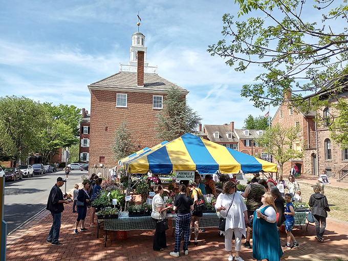 Spring brings New Castle's historic square to life with market days that connect modern shoppers to traditions older than the nation itself.