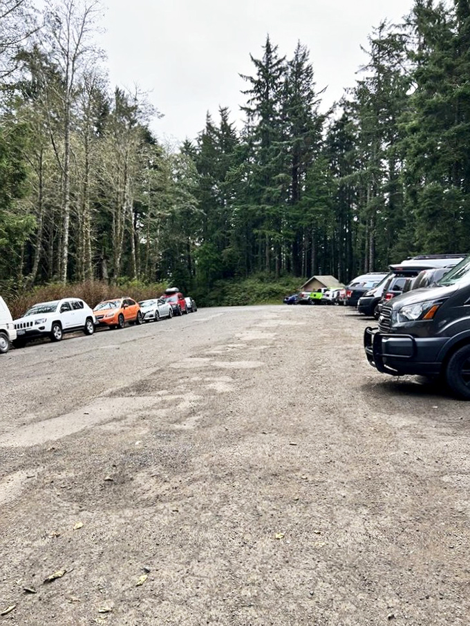 The unofficial gathering of the "Escape from Civilization" club. Each vehicle represents someone who chose adventure over Netflix for the weekend.
