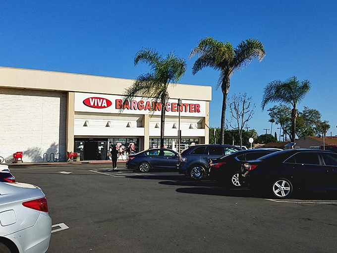 The parking lot – where cars gather like pilgrims at a shrine dedicated to the art of not paying full price for anything.