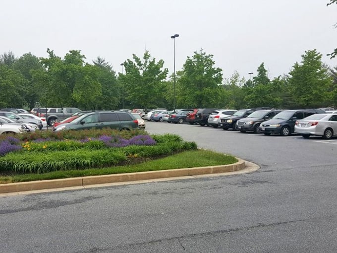 Even the parking lot speaks to popularity&mdash;these aren't just cars, they're vessels that will soon be filled with secondhand scores and sustainable shopping wins.