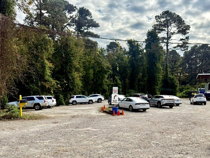 The parking lot fills early on weekends – treasure hunters arriving with empty trunks and leaving with carloads of newfound gems.