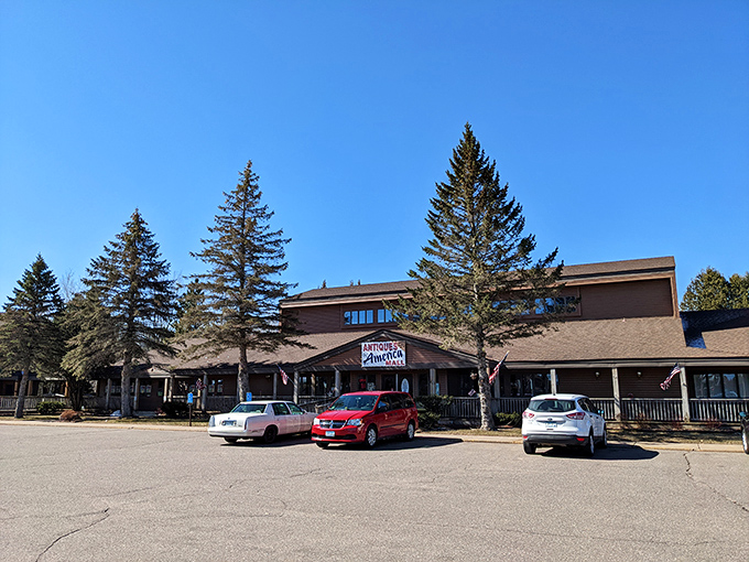 The exterior view reveals the true scale of this antique paradise. Those pine trees have witnessed countless visitors arriving empty-handed and leaving full-hearted.