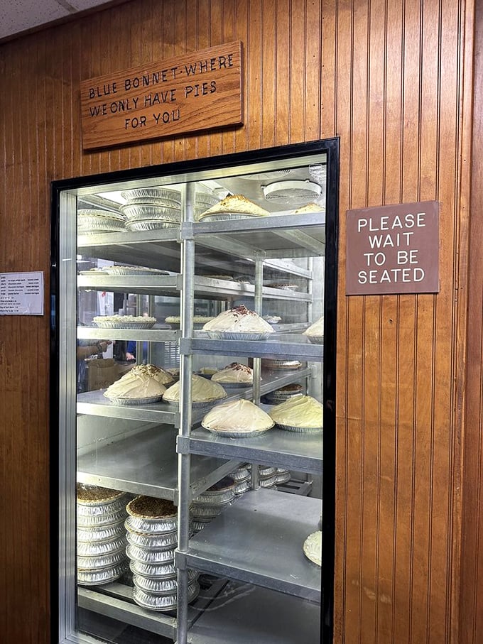 The pie case&mdash;a glass-fronted museum of edible art. Each shelf holds treasures more valuable than gold to a hungry traveler.
