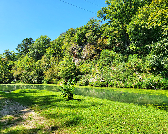 Pastoral perfection where water meets woodland. This tranquil pond scene proves that Oklahoma can do "serenity now" as well as any coastal retreat.