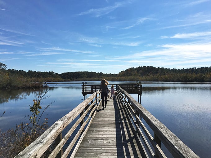 Prime Hook's wooden boardwalk invites contemplative strolls into wilderness&mdash;where the only notification you'll receive is from a passing heron.
