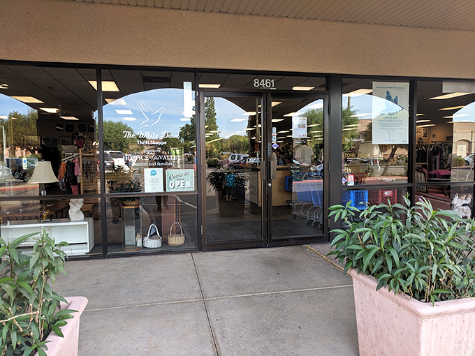 The welcoming entrance beckons with promises of air-conditioned treasure hunting&mdash;Arizona's favorite indoor sport during those 115-degree summer days.