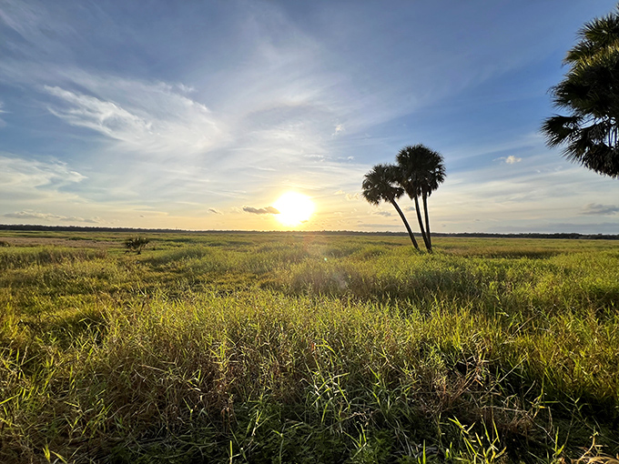 As the sun bids farewell over Myakka's prairie, even the most dedicated smartphone addicts put down their devices. Some moments deserve your full attention.