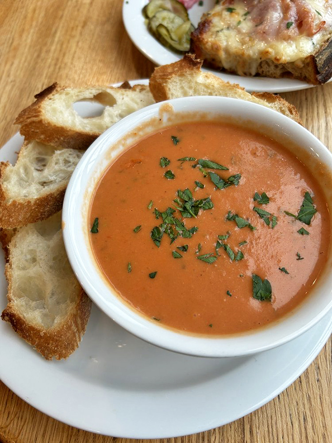 Tomato soup and crusty bread&mdash;comfort food that hugs your insides. This vibrant bowl proves that sometimes the simplest combinations create the most profound happiness. 