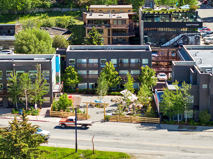The river winds through autumn trees like nature's own lazy highway, inviting contemplation and maybe just one more perfect photo.