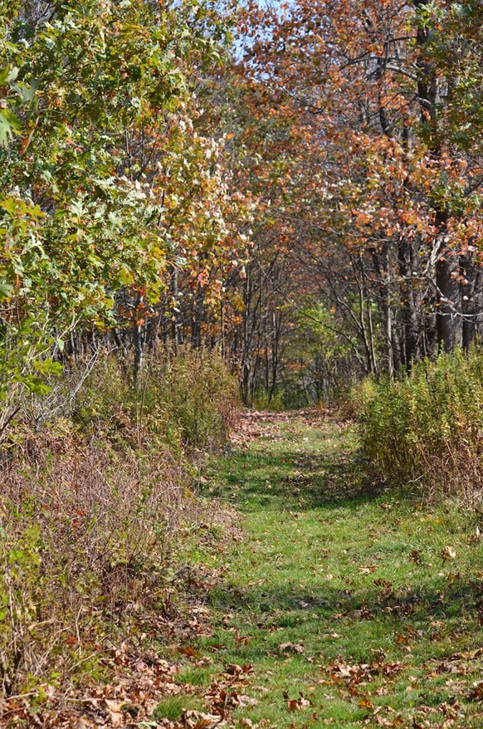 This trail doesn't just lead somewhere&mdash;it invites you on a journey. Autumn leaves create nature's carpet, crunching underfoot like applause for your adventure.