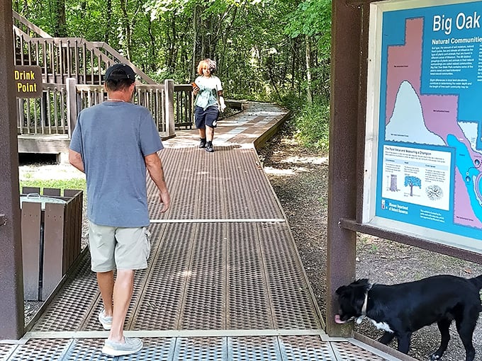 The boardwalk welcomes visitors of all kinds (including four-legged friends) to discover what makes this forest one of Missouri's natural treasures.