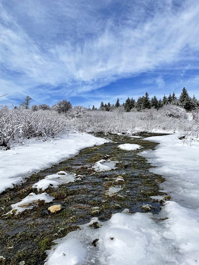 Winter's icy grip transforms streams into abstract art. Even in dormancy, the highlands maintain their wild dignity.