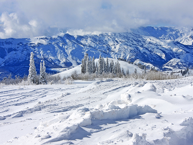 Winter in the Wasatch: where snow-covered pines stand like sentinels guarding mountains that belong on a holiday card.