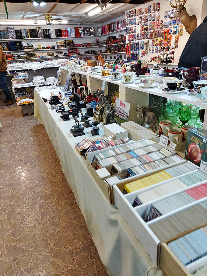 Trading cards and collectibles await the touch of nostalgic fingers. Someone's childhood obsession becomes another's retirement investment.