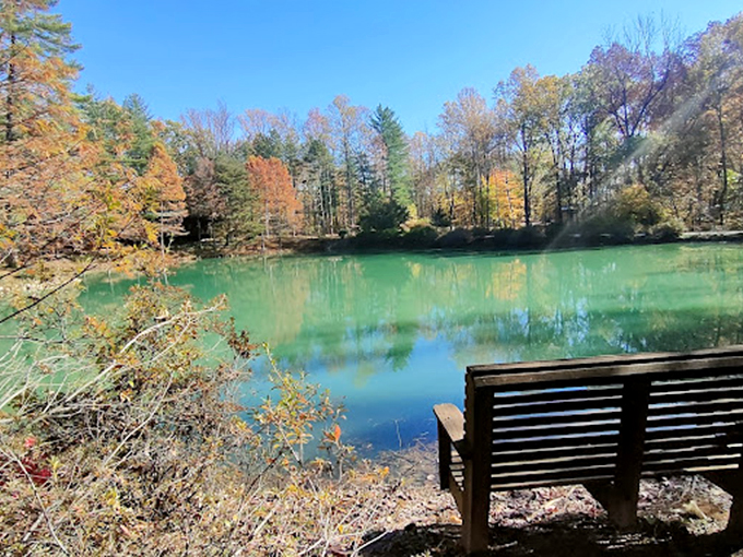 Sometimes the best view requires sitting still. This solitary bench offers front-row seats to nature's ever-changing show across turquoise waters.