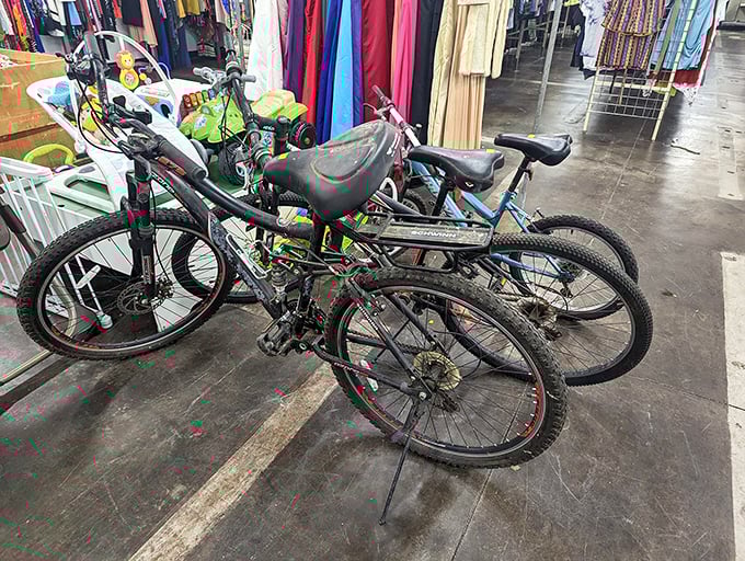 Pedal your way to adventure! These pre-loved bikes are just waiting for their next Tour de Neighborhood or family picnic expedition.